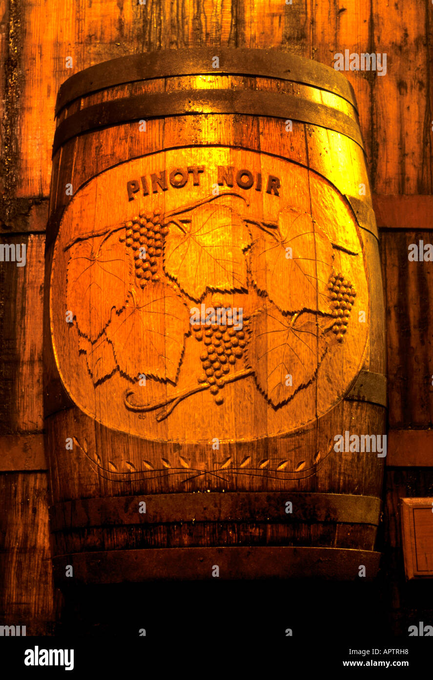 Sebastiani wine hi-res stock photography and images - Alamy