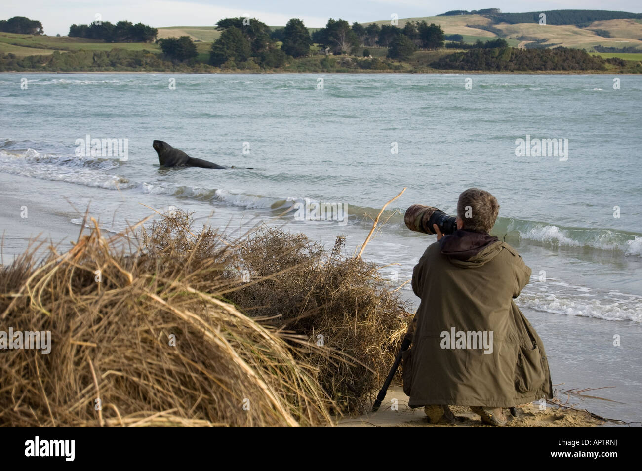 Terry Whittaker High Resolution Stock Photography and Images - Alamy