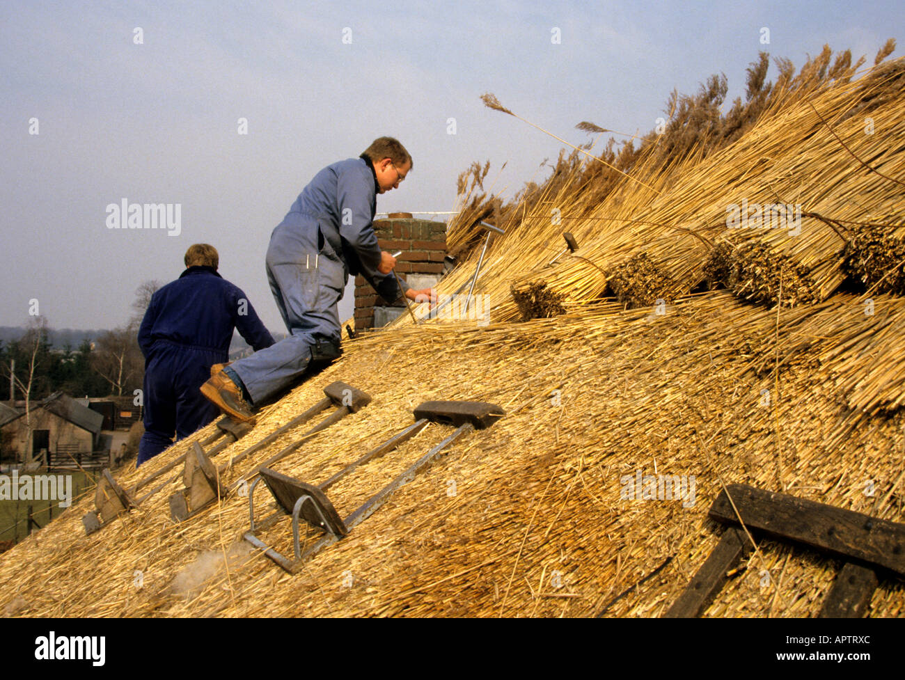 thatcher roof roofs Netherlands Holland Stock Photo - Alamy