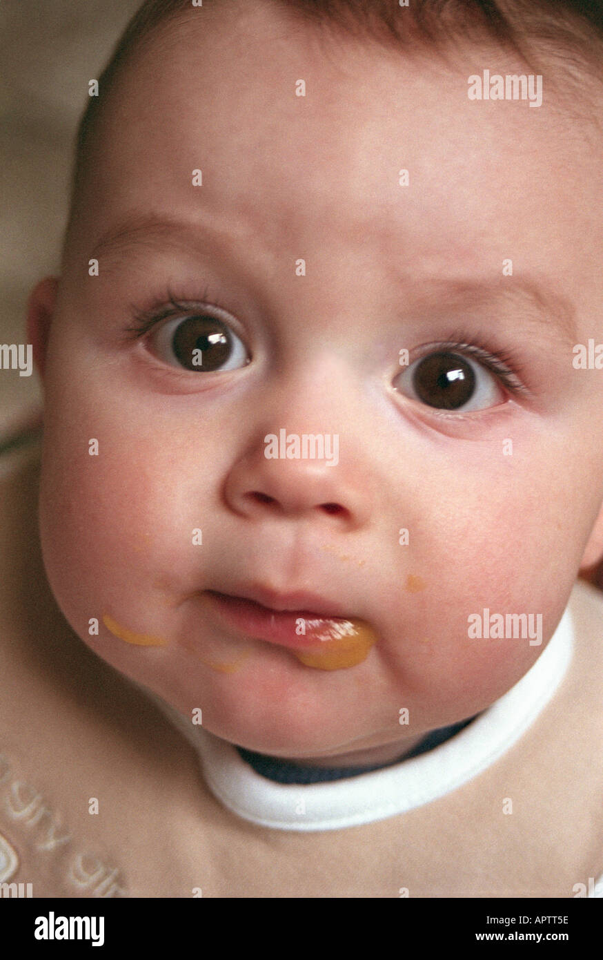 portrait of baby boy being fed Stock Photo - Alamy