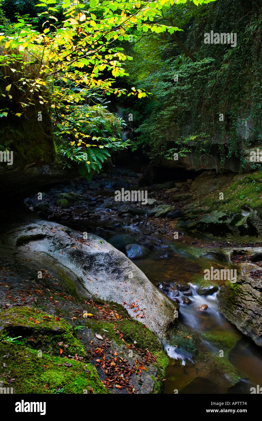 How stean gorge hi-res stock photography and images - Alamy