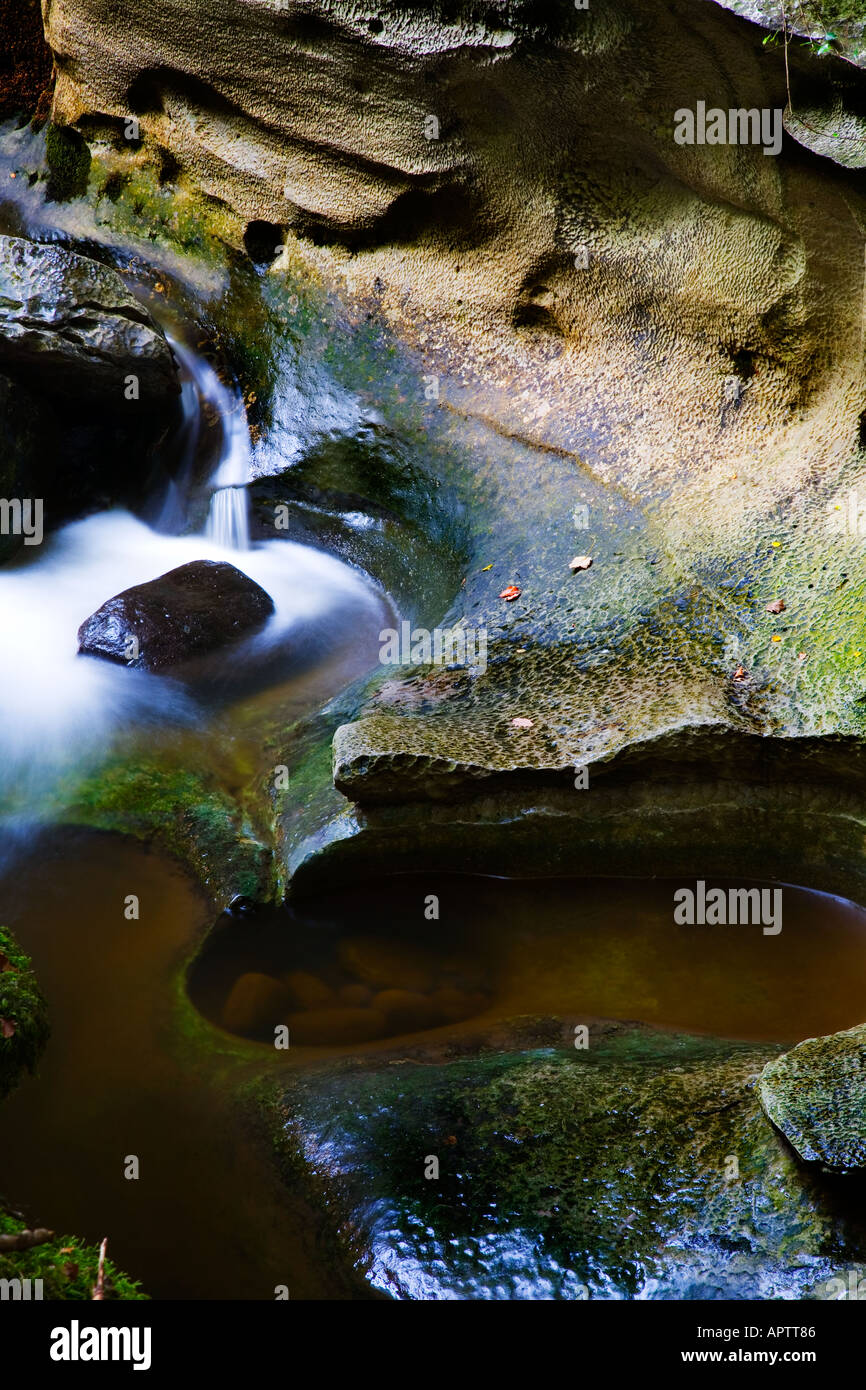 How stean gorge yorkshire hi-res stock photography and images - Alamy