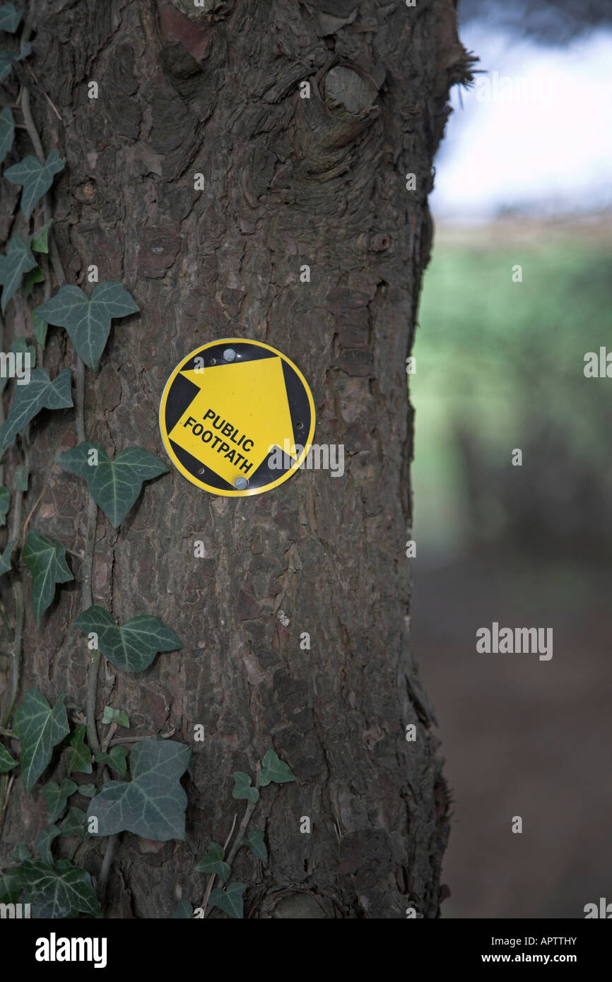 Small yellow arrow footpath sign on tree Stock Photo - Alamy
