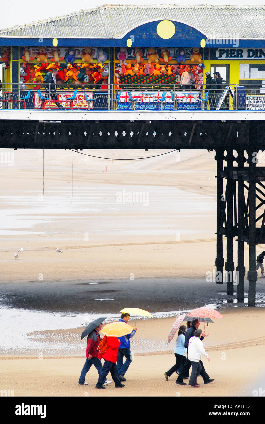 Group of people under umbrellas walking on the beach in the rain below ...