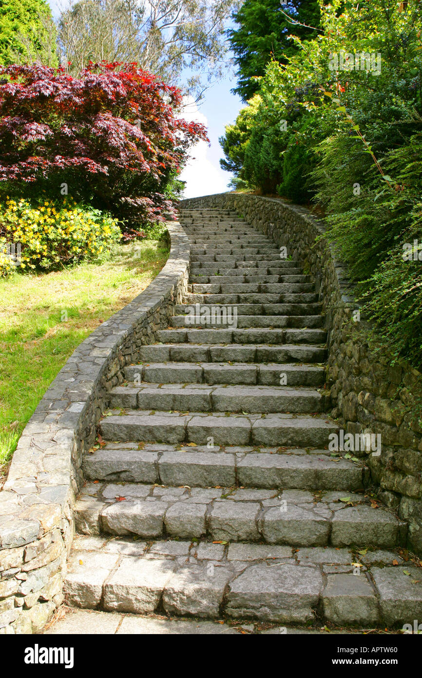 Stone steps in Tollymore forest park in Newcastle Co Down Stock Photo ...