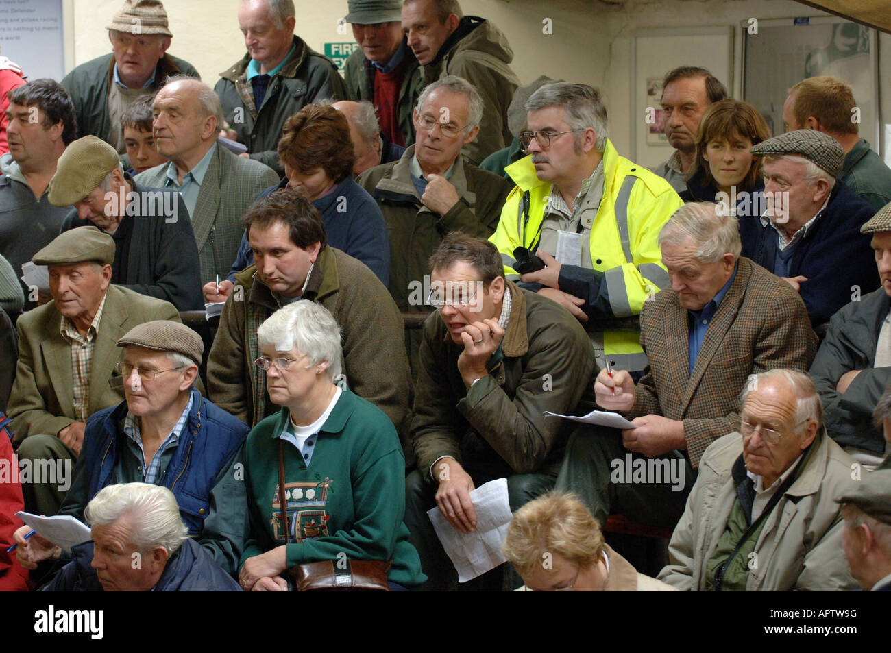Auction crowd hi-res stock photography and images - Alamy