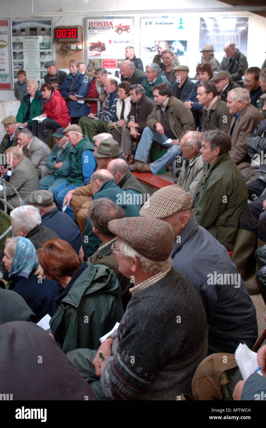 Auction crowd hi-res stock photography and images - Alamy