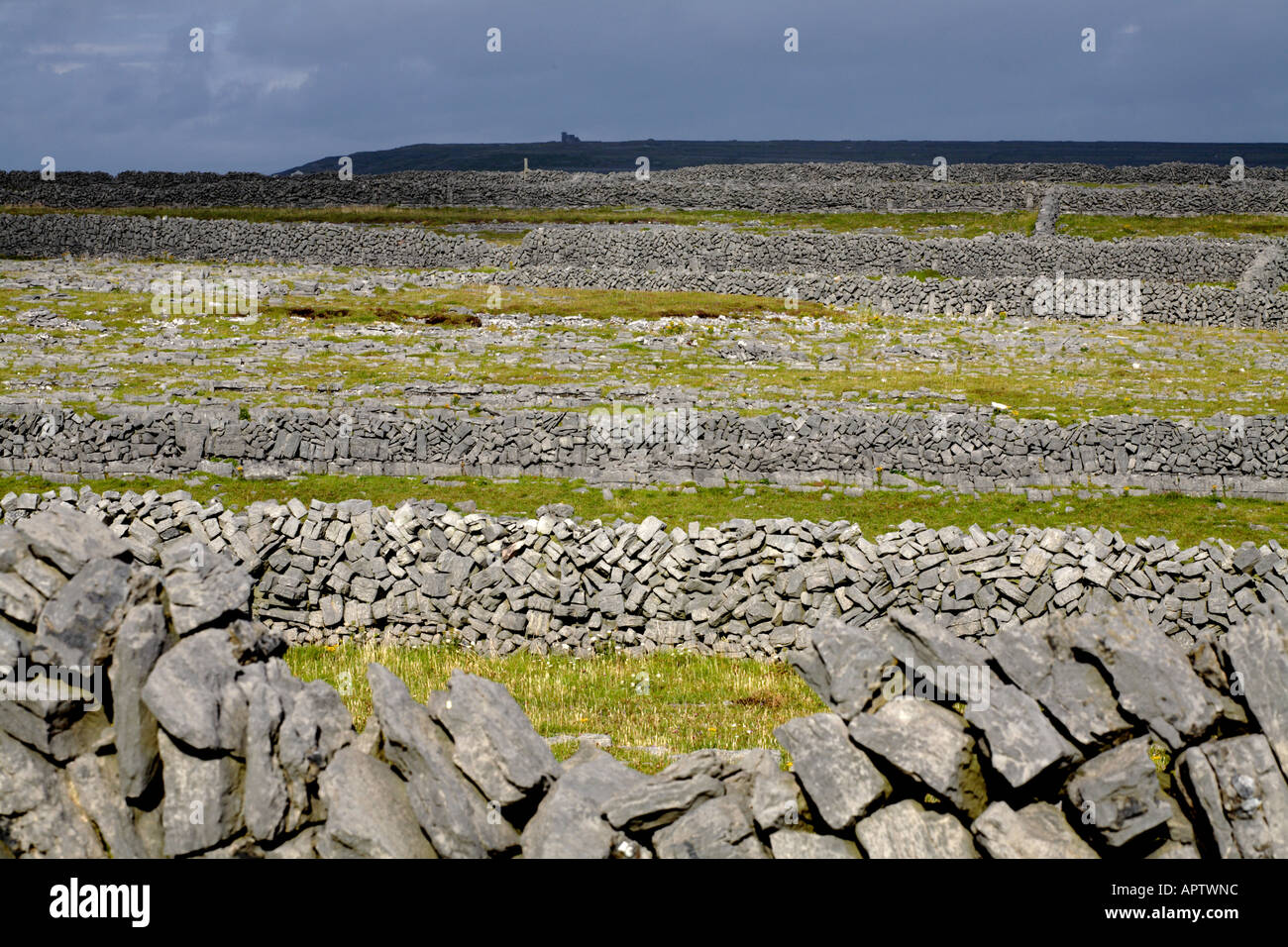 Stone walls on Inis Mor, Aran islands, Ireland Stock Photo - Alamy