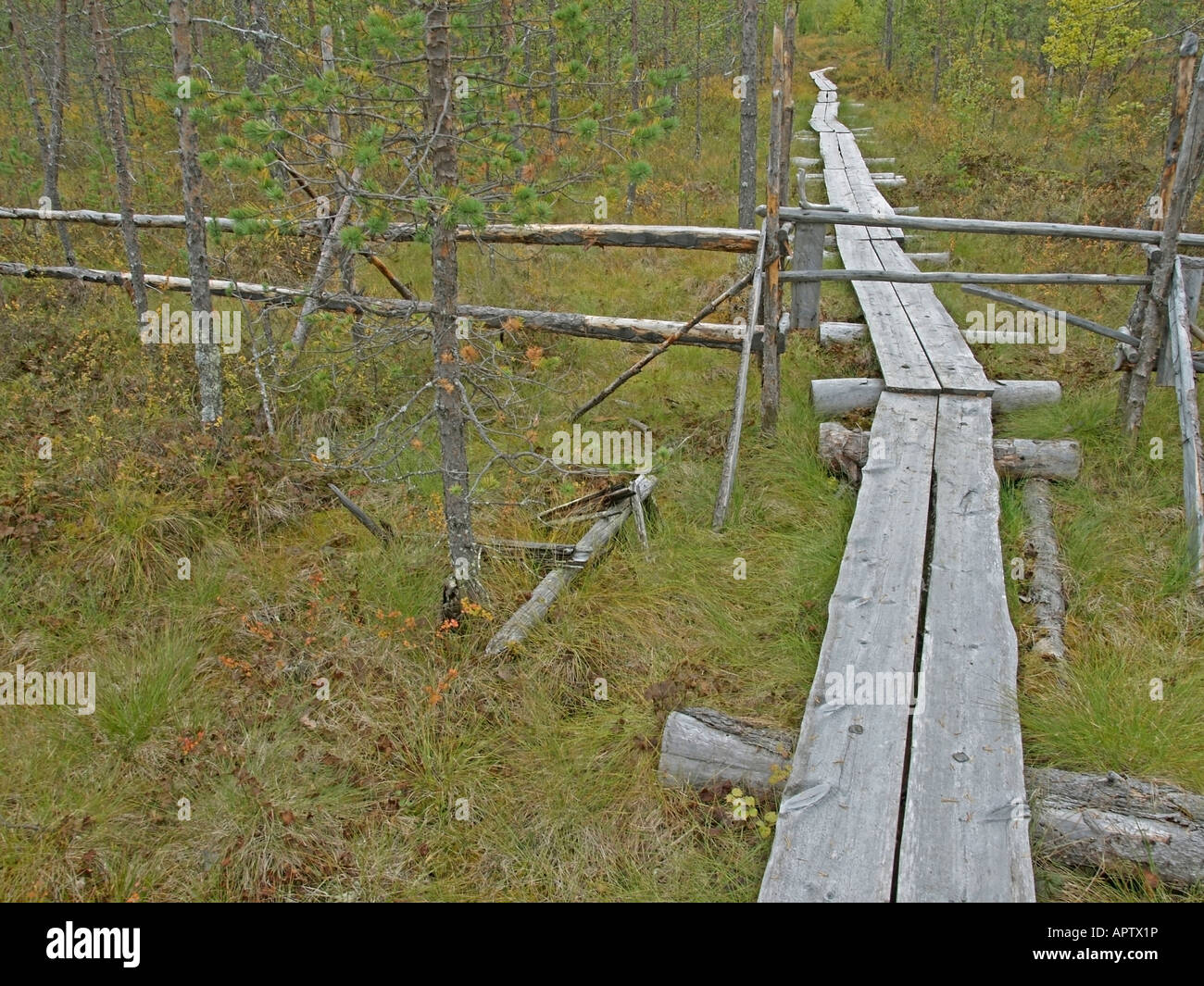 fence crossing a trecking road with footbridge made of planks through a ...