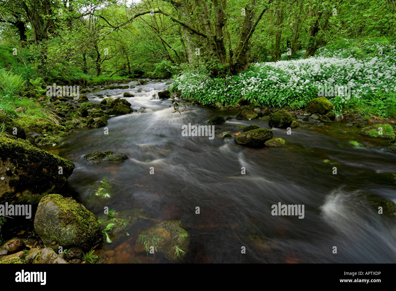 Brookhouse hi-res stock photography and images - Alamy