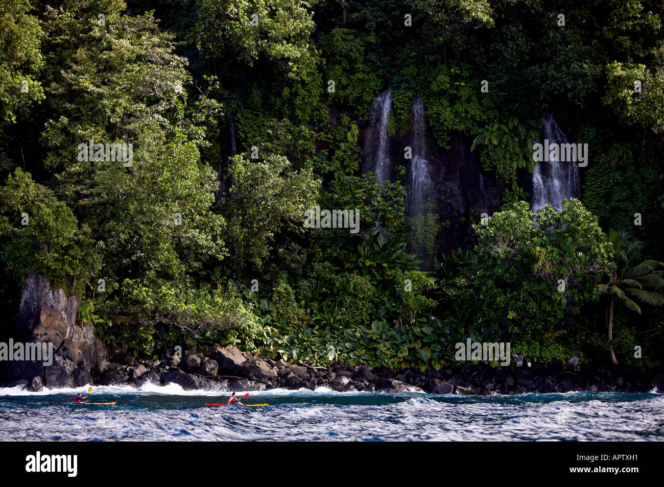 Tui Tai Adventure Cruises Fiji Islands Taveuni model released Stock ...