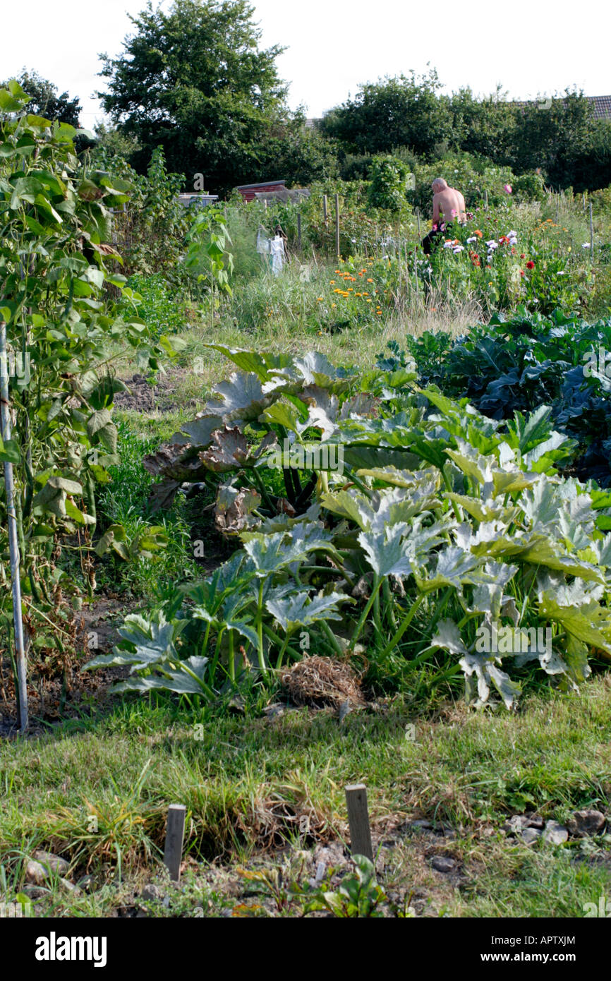 Willand hi-res stock photography and images - Alamy