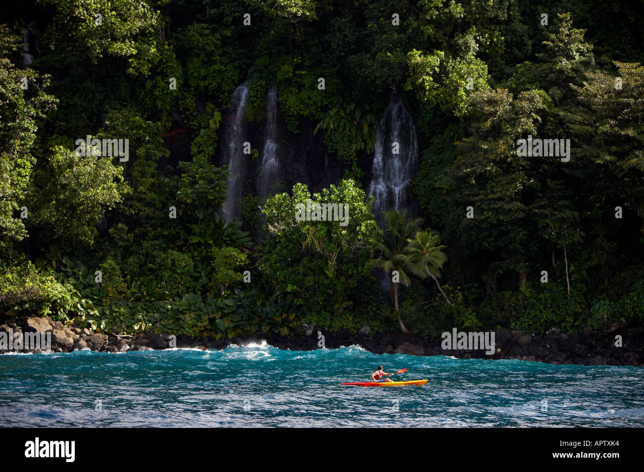 Tui tai hi-res stock photography and images - Alamy