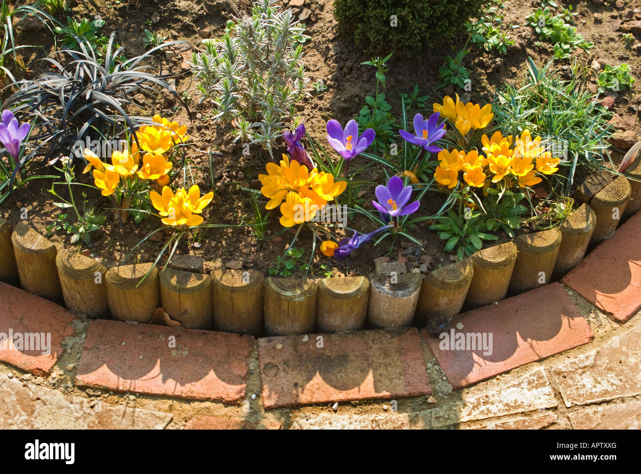 Brick edging hi-res stock photography and images - Alamy
