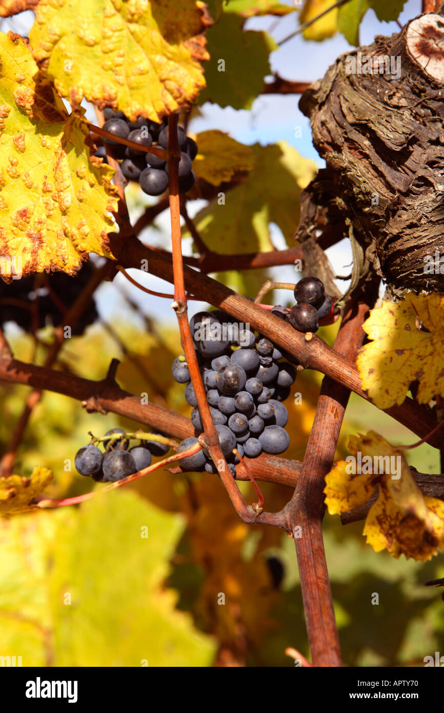 Fall in the west hi-res stock photography and images - Alamy