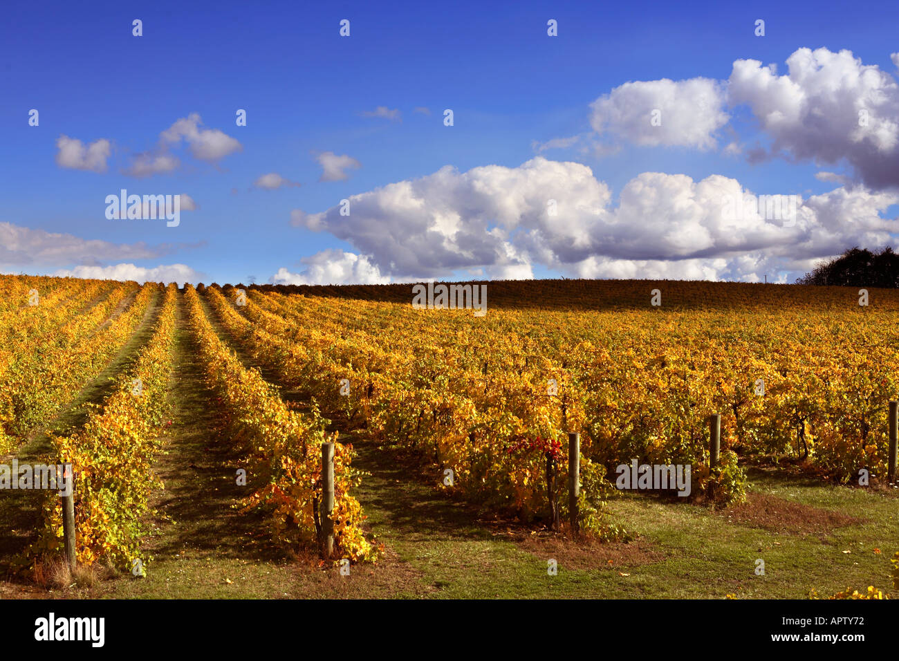 Fall in the west hi-res stock photography and images - Alamy