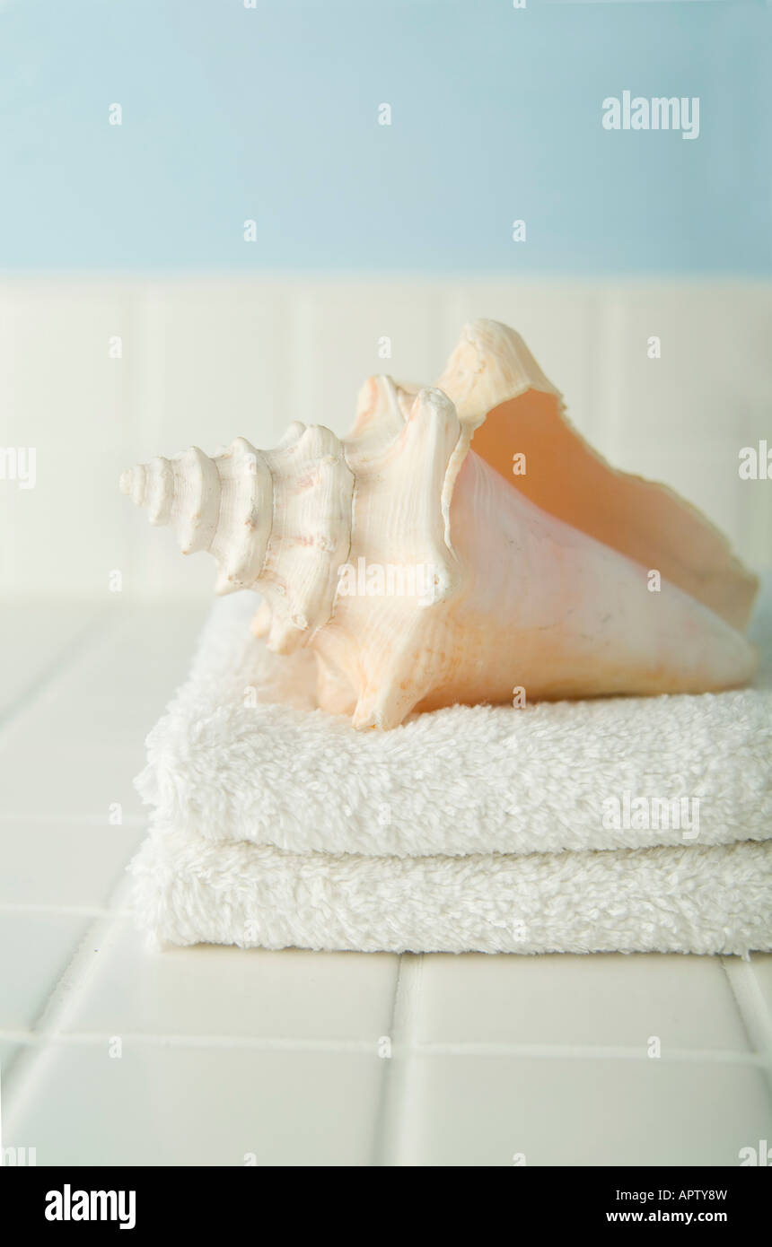Shell in Bathroom Stock Photo - Alamy