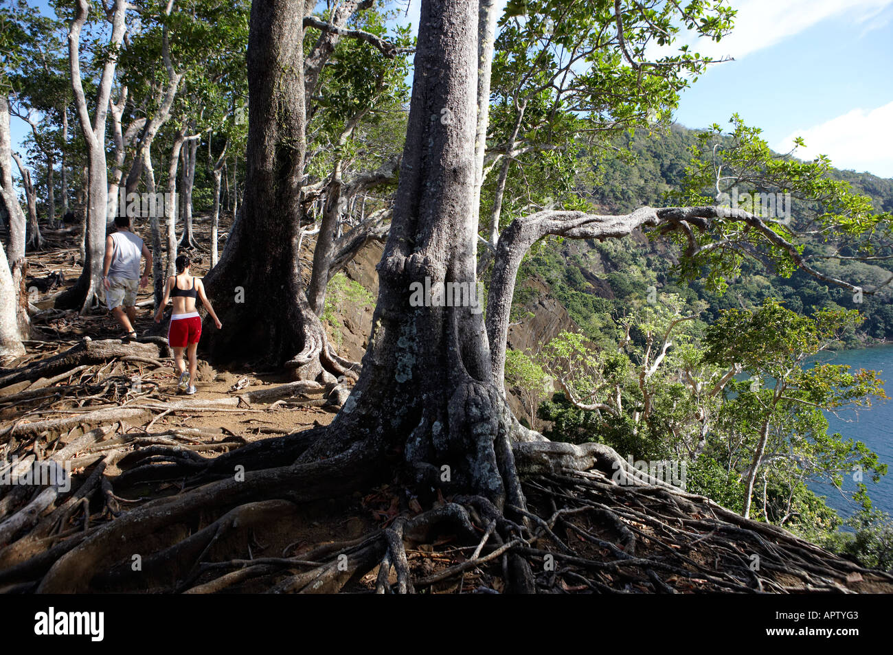 Tui Tai Adventure Cruises Fiji Islands Cobia Island Ringgolds model ...