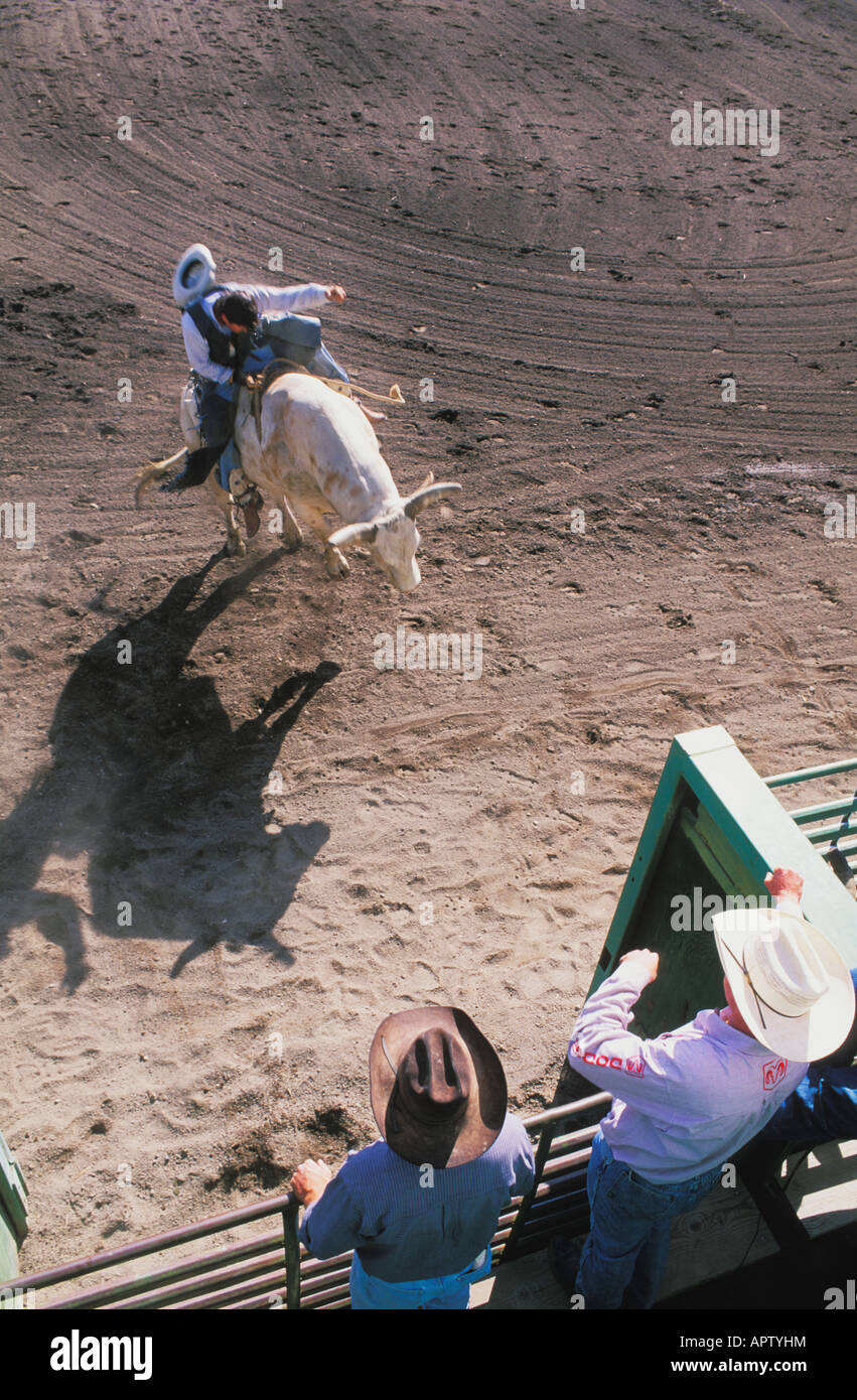 Riding Ring Stock Photos & Riding Ring Stock Images - Alamy