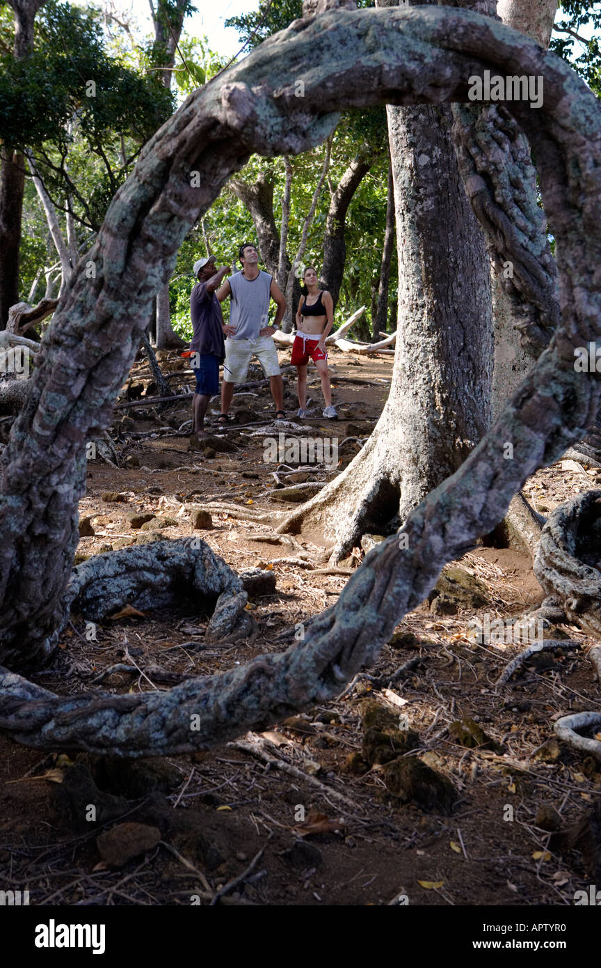 Tui Tai Adventure Cruises Fiji Islands Cobia Island Ringgolds model ...
