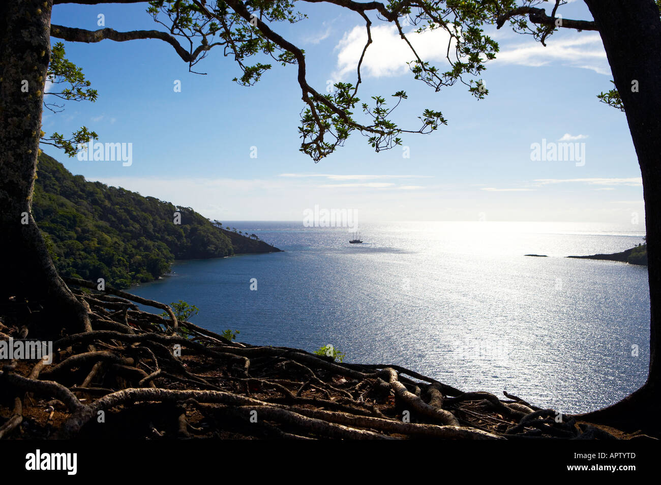 Tui Tai Adventure Cruises Fiji Islands Cobia Island Ringgolds Stock ...