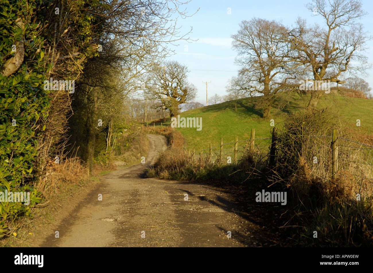 Rudry hi-res stock photography and images - Alamy