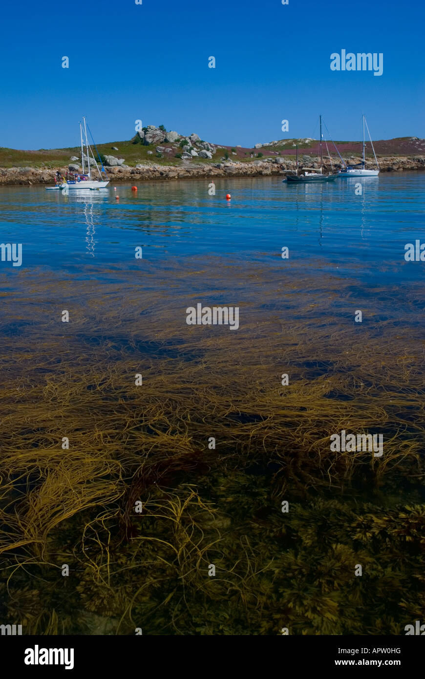 Scilly gugh yacht hi-res stock photography and images - Alamy