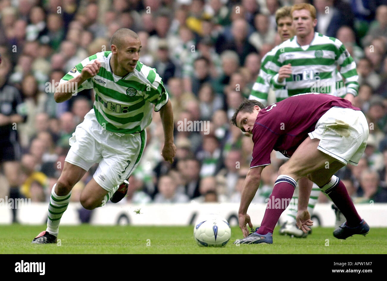 Celtics Henrik Larsson High Resolution Stock Photography and Images - Alamy