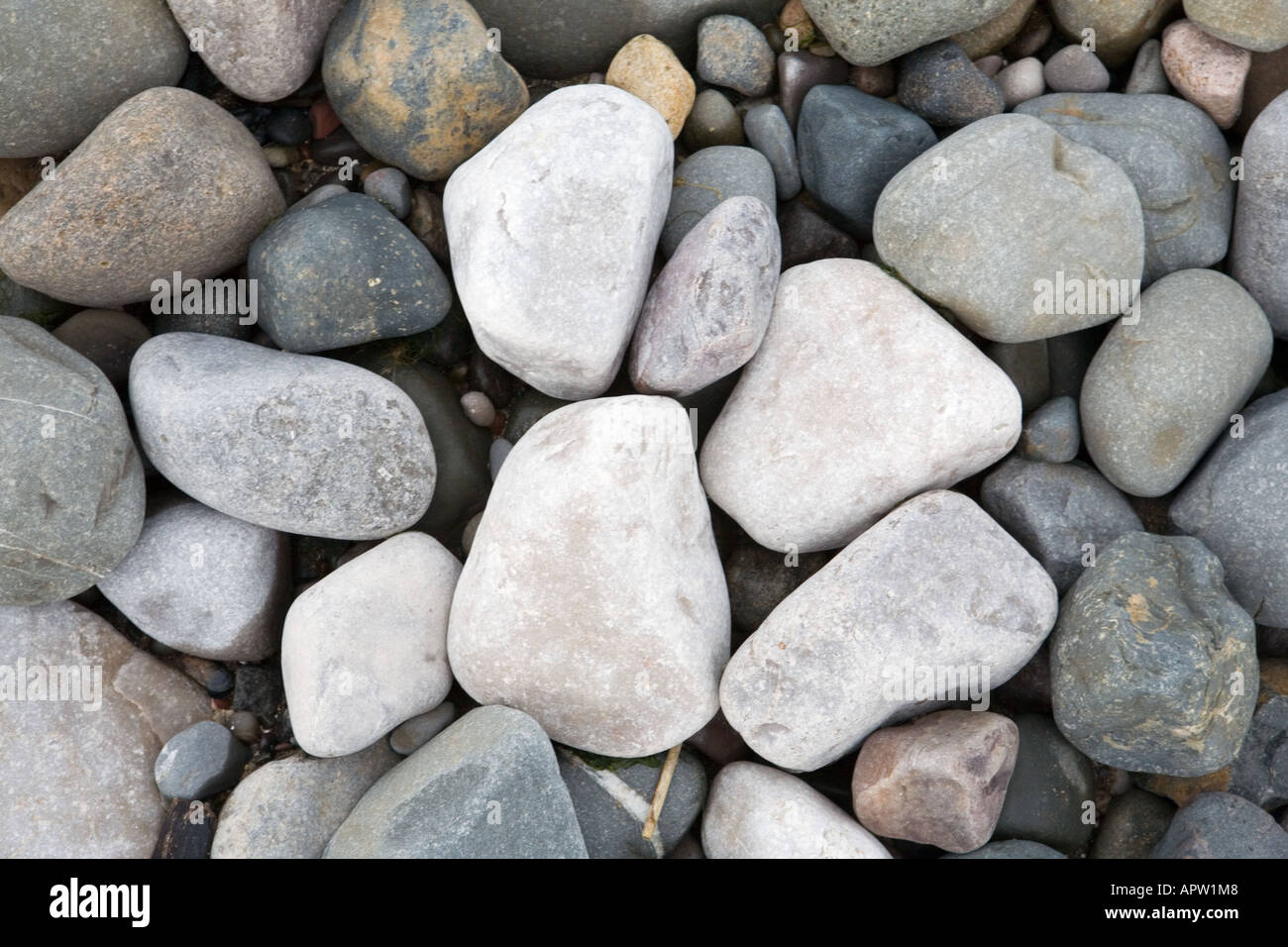 Large grey smooth pebbles hi-res stock photography and images - Alamy