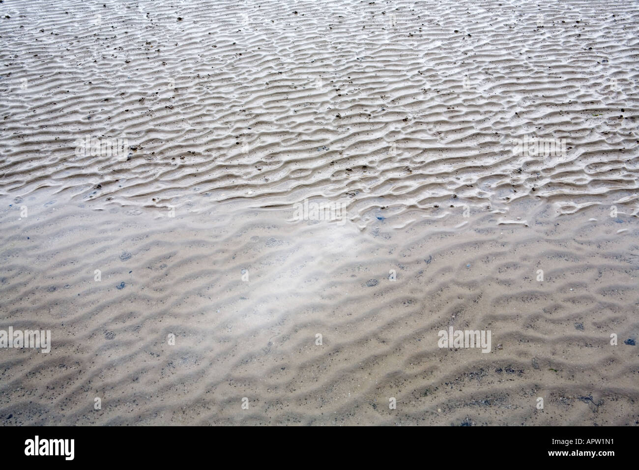 Mud sand hi-res stock photography and images - Alamy