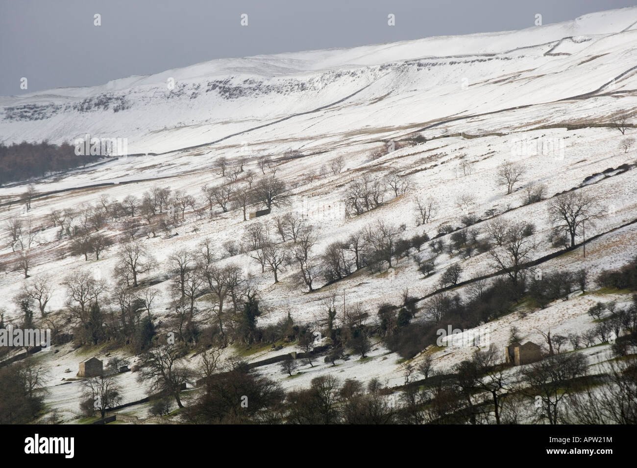 Winter in Bishopdale Stock Photo - Alamy