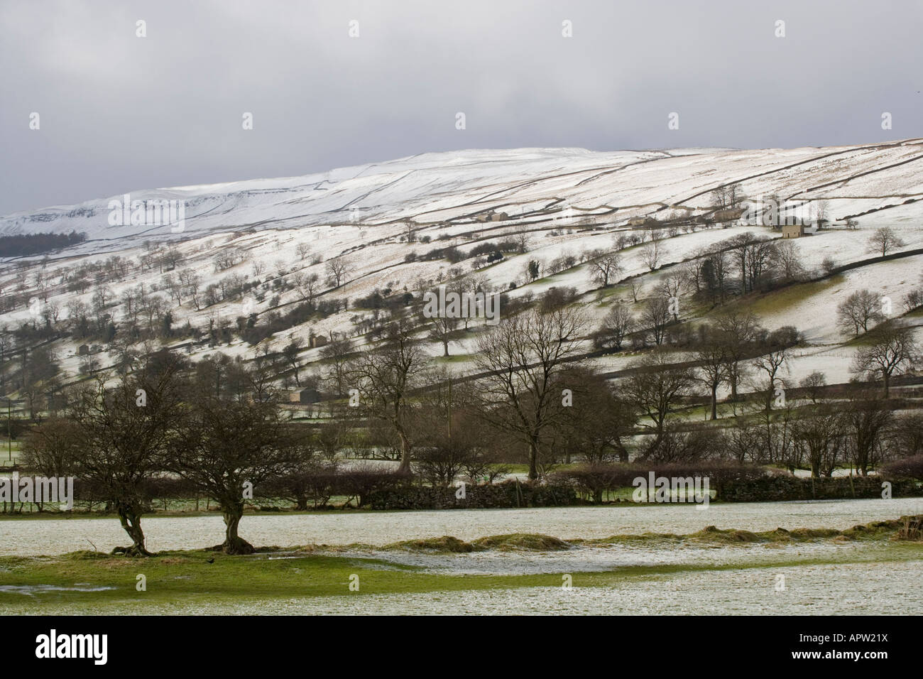 Winter in Bishopdale Stock Photo - Alamy