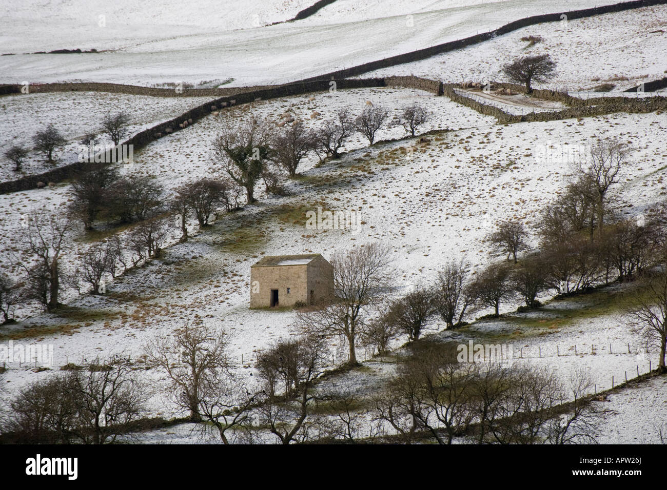 Winter in Bishopdale Stock Photo - Alamy