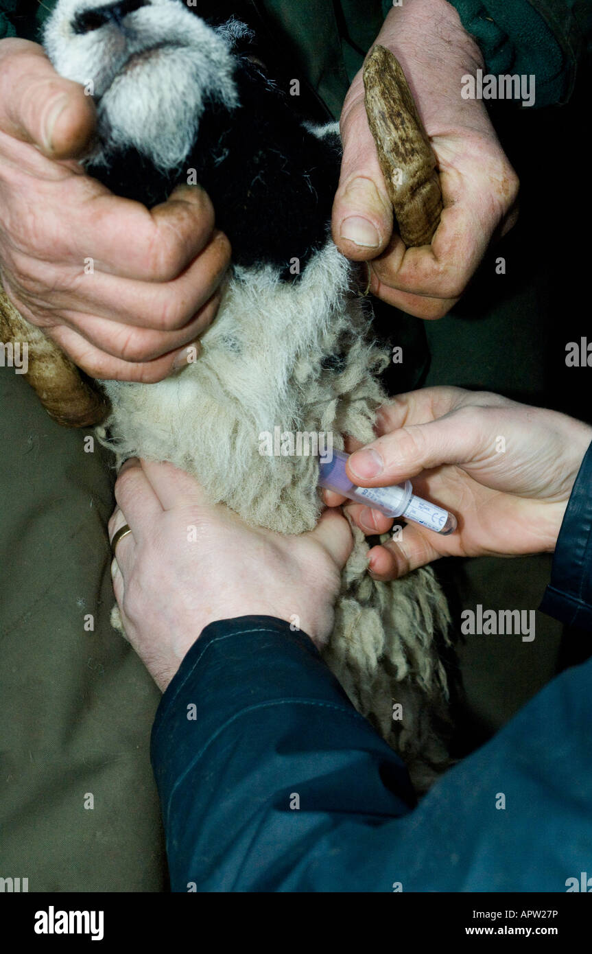 Having a blood test hi-res stock photography and images - Alamy