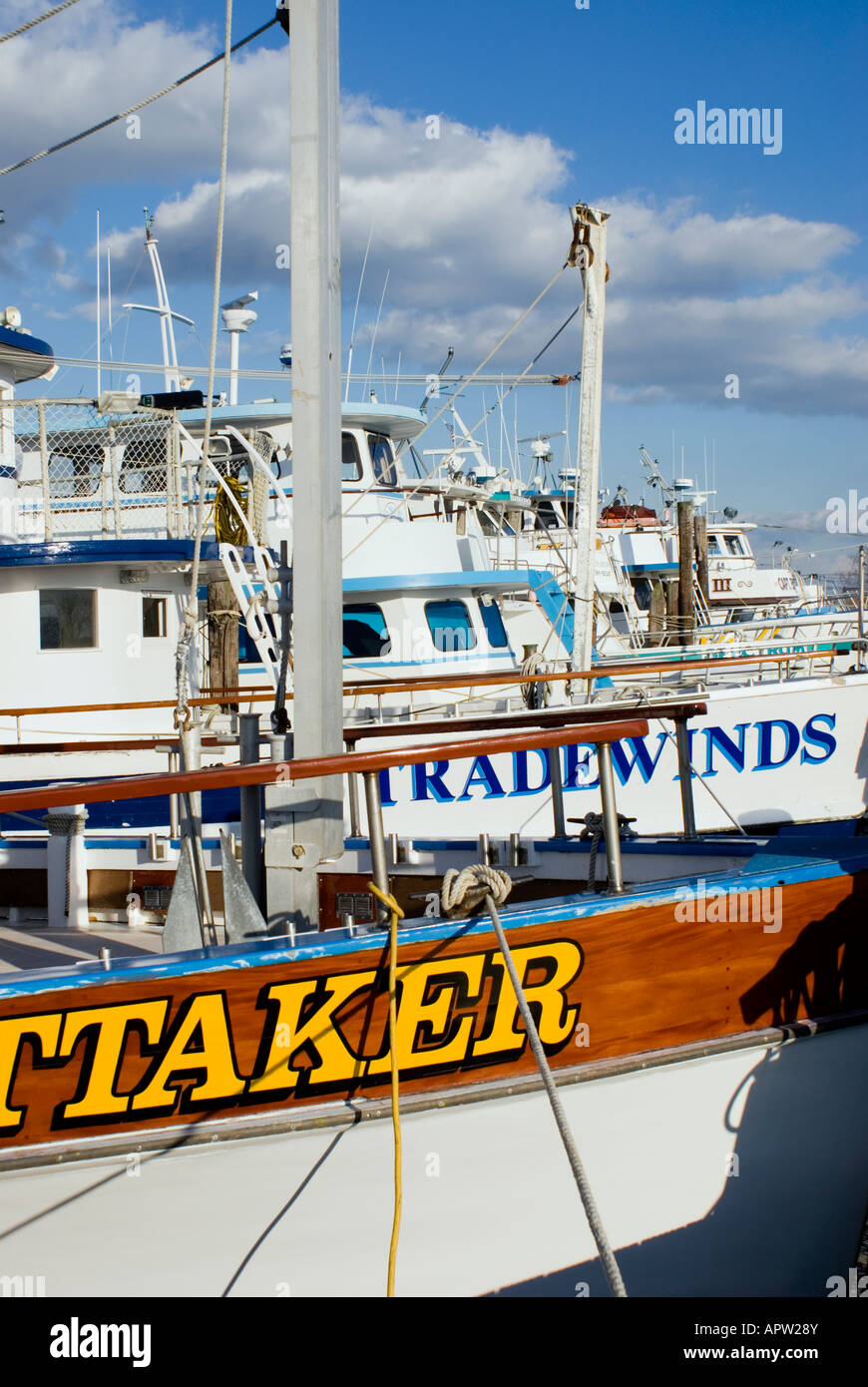 Charter fishing boats, Captree State Park, Long Island, New York Stock ...
