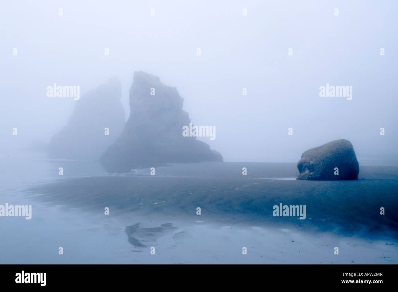 Ruby Beach Sea Stacks in Fog Stock Photo - Alamy