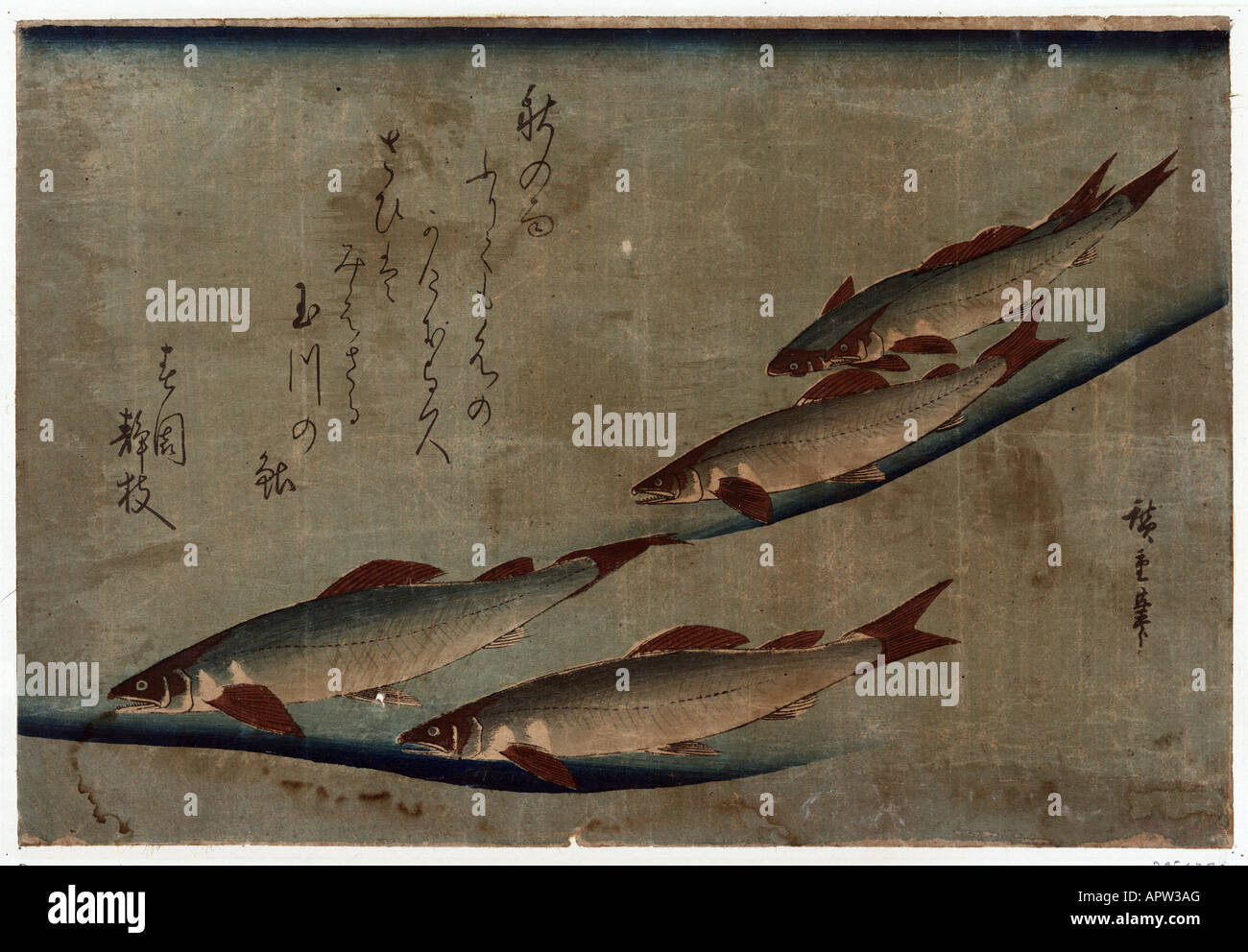 Japan ayu hi-res stock photography and images - Alamy