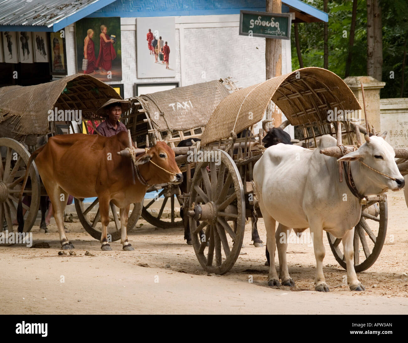 Ox wagon hi-res stock photography and images - Alamy