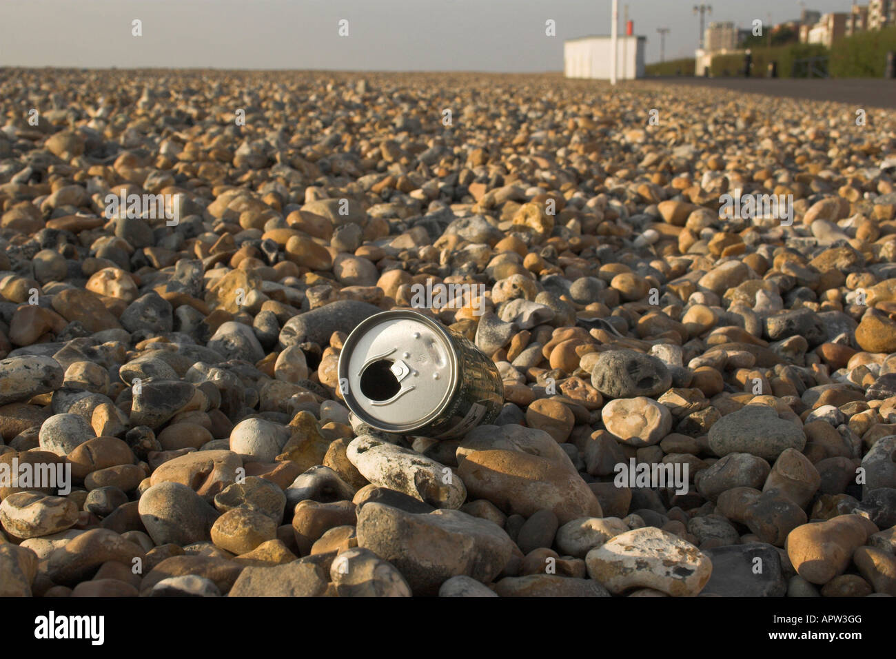 Empty can thrown away hi-res stock photography and images - Alamy