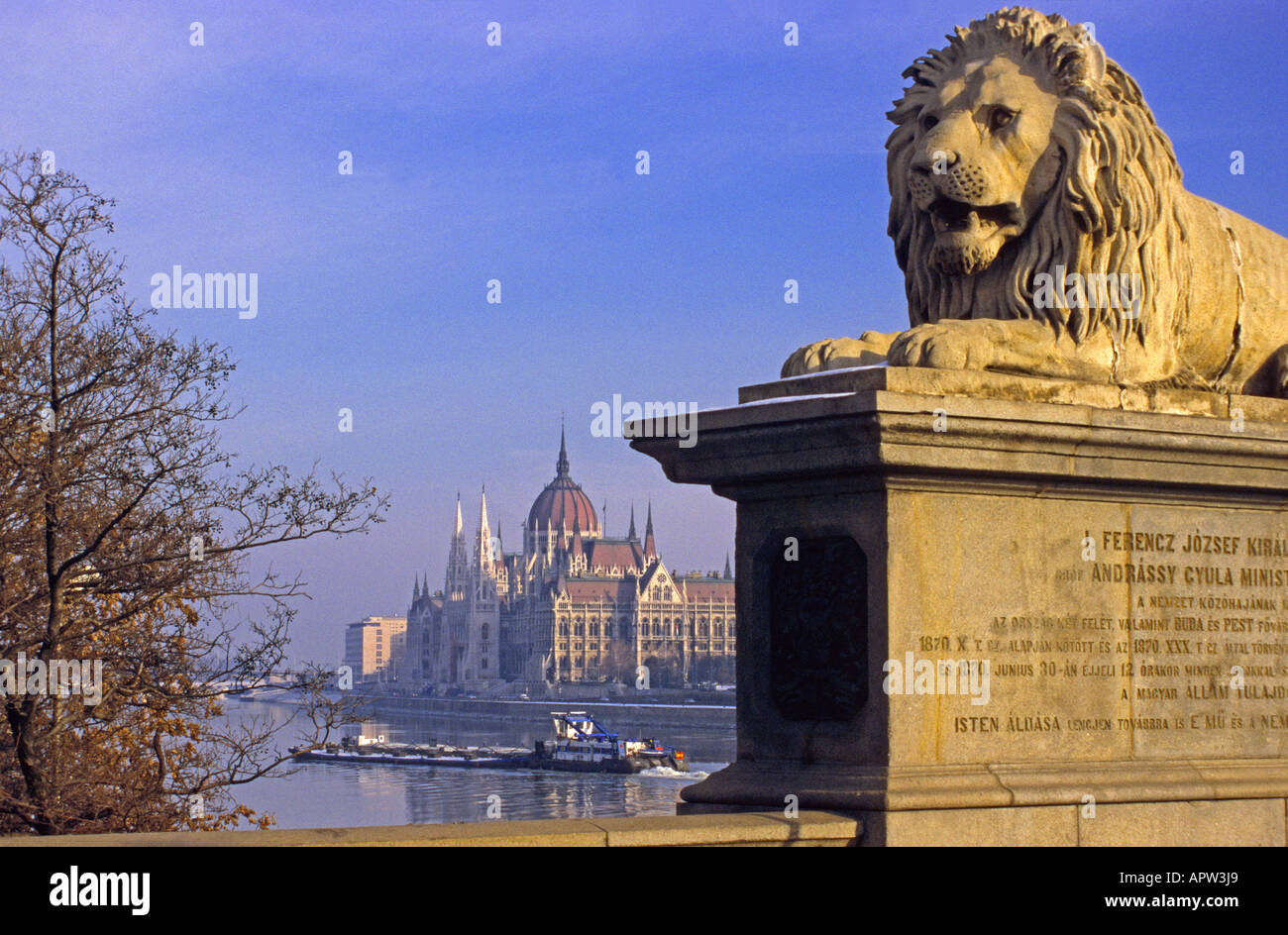 Chain Bridge Lion with Parliament, Budapest, Hungary, Europe Stock ...