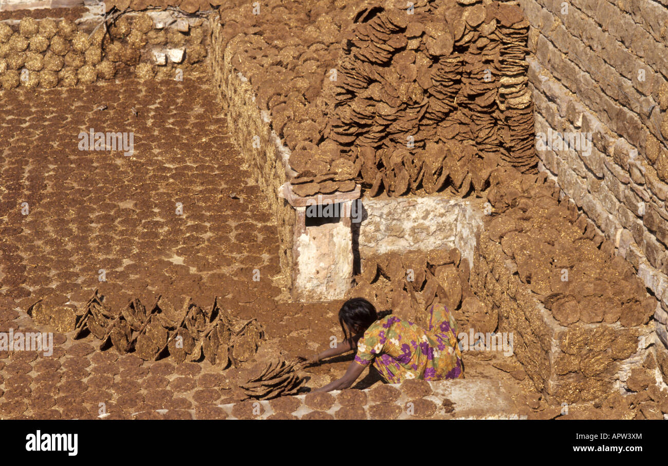 Cow Dung Wall High Resolution Stock Photography and Images - Alamy
