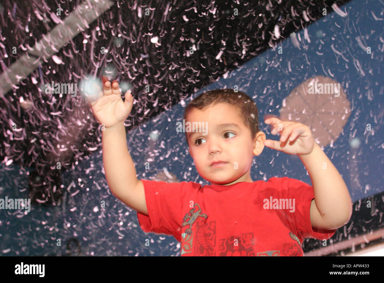 Miami Florida,Children's Museum,history,collections,exhibit exhibition ...