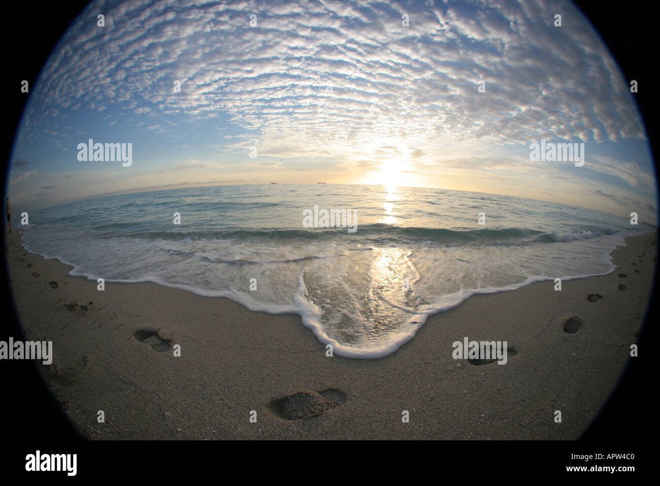 Miami Beach Florida,Atlantic Shore,shoreline,coast,coastline,seashore ...