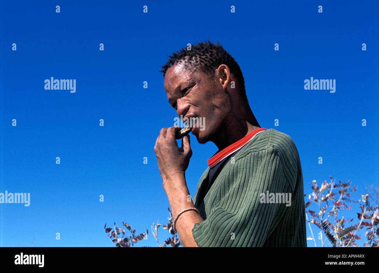 Bushmen san people eating hi-res stock photography and images - Alamy