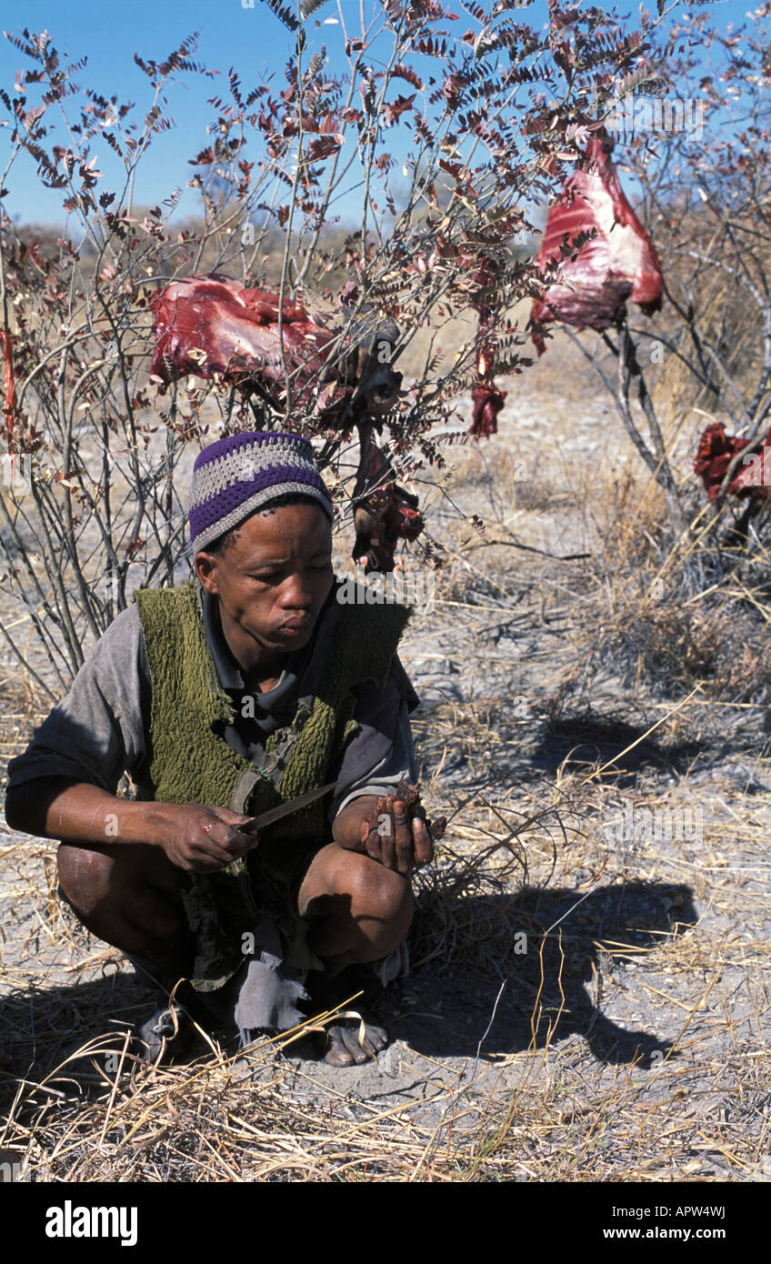 Bushmen eating hi-res stock photography and images - Alamy