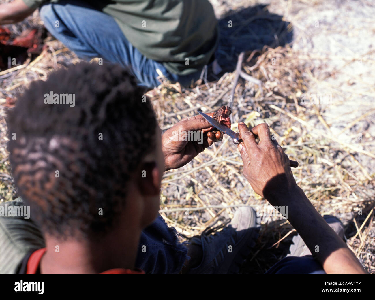 Bushmen san people eating hi-res stock photography and images - Alamy