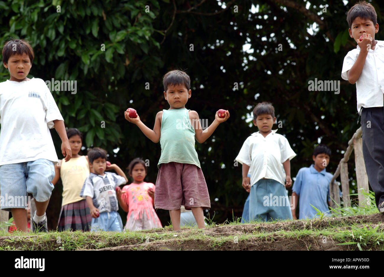 amazon jungle children in northen peru Stock Photo - Alamy