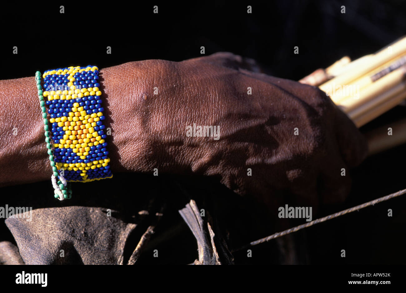 Bushmanâ s hand holding bunch of arrows Bushmanland Namibia Stock Photo ...