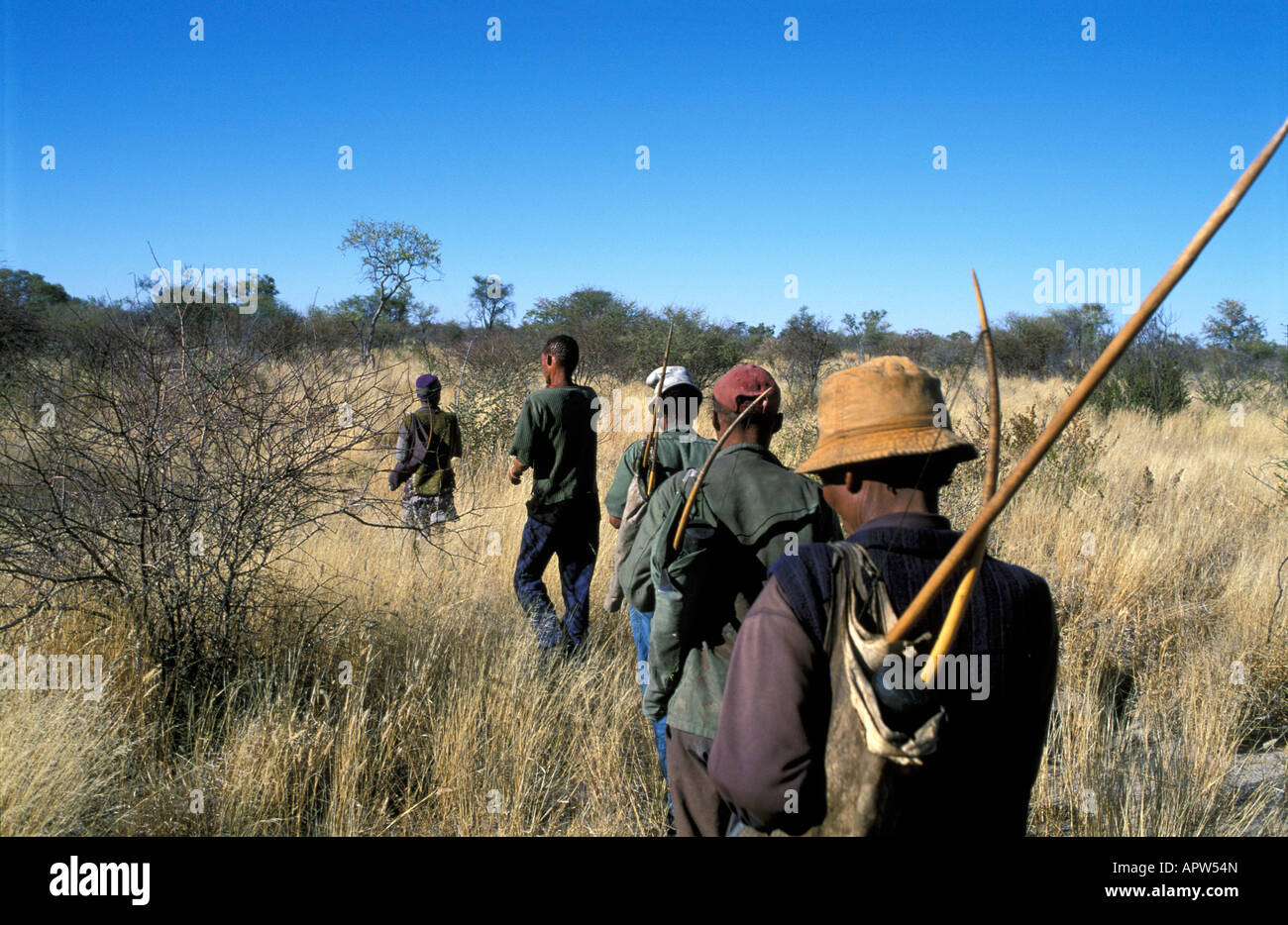 Fully armed Bushman hunters tracking an animal Namibia Stock Photo - Alamy