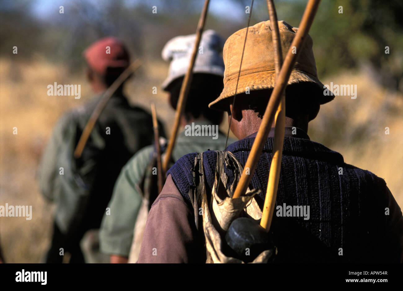 Fully armed Bushman hunters tracking an animal Namibia Stock Photo - Alamy